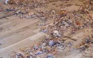 How To Hand Scrape Wood Floors - [Step-by-step Guide]