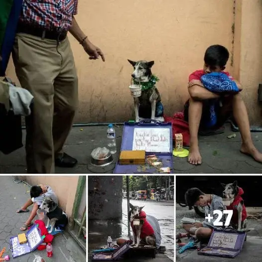 Heartwarming Connection: The Enduring Bond Between a Homeless Child and ...